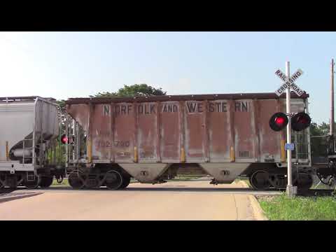 Morris Rd. Grade Crossing (Dwight, IL) 8/10/20