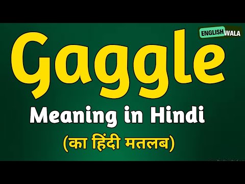 Gaggle meaning in hindi | Gaggle matlab kya hota hai | Gaggle explained