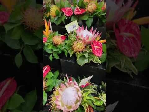 Hawaiian tropical flowers in store Costco, Maui