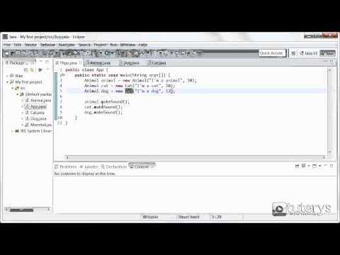 Learn How to apply polymorphism in Java - Mind Luster