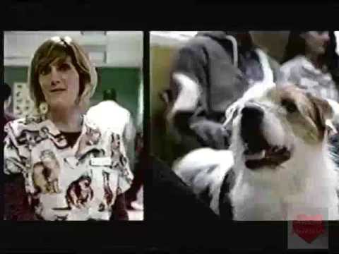 Comcast Business | Television Commercial | 2009