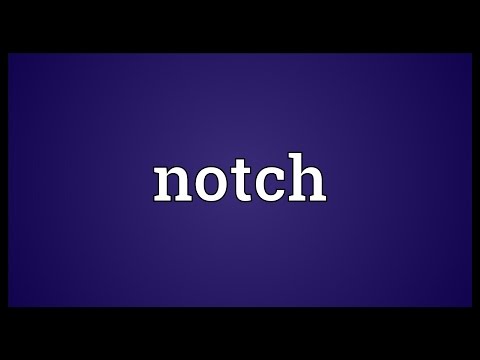 Notch Meaning