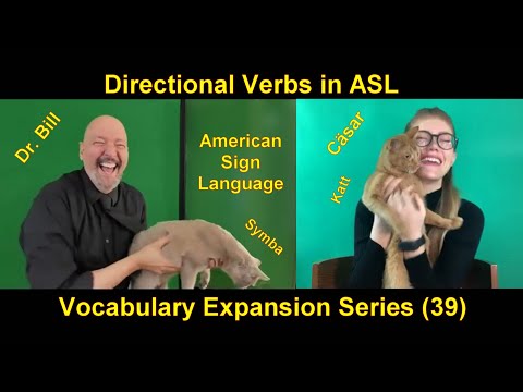 Directional Verbs in ASL (Dr. Bill Vicars and & Cäsar Jacobson) (VES 39) (indicating verbs) grammar