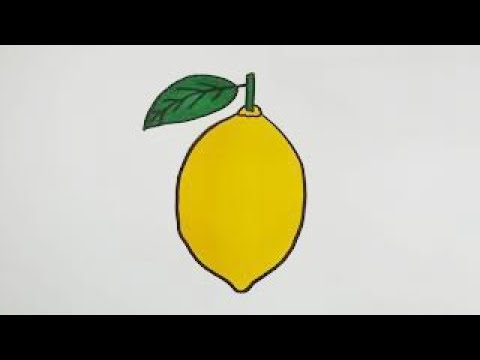 How To Draw A Lime Step by Step – I'm Youtuber – Follow my videos to ...