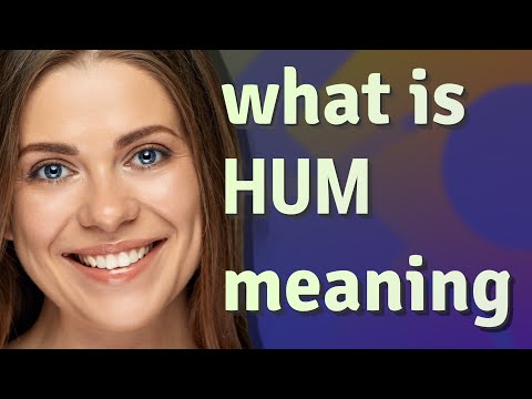 Hum | meaning of Hum