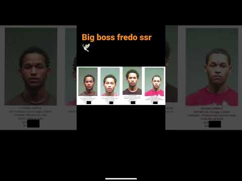 Fredo ssr/F$ mugshots
