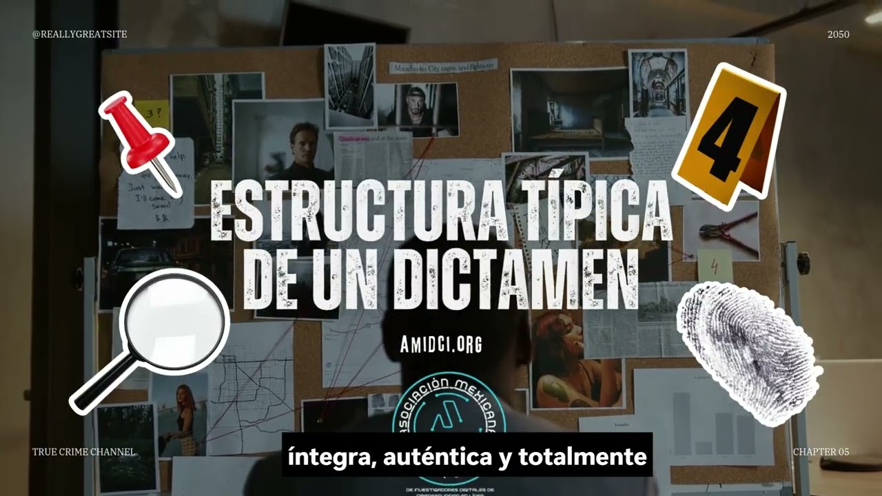 QUE ES UN DICTAMEN PERICIAL EN INFORMATICA FORENSE