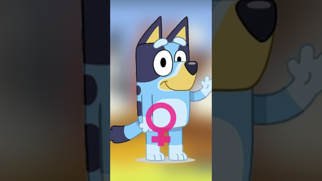 Is Bluey a Boy or a Girl?? #shorts #bluey