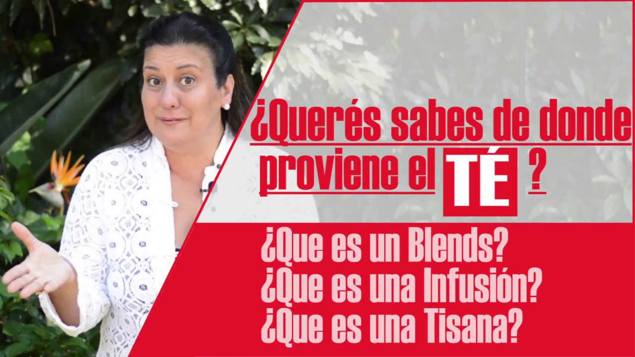 Que es el té, tisanas, infusiones y blends?