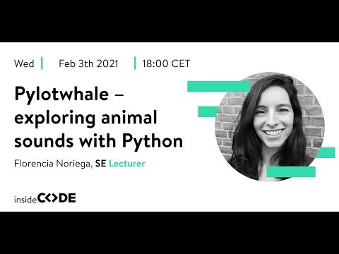 insideCODE: Pylotwhale - exploring animal sounds with Python
