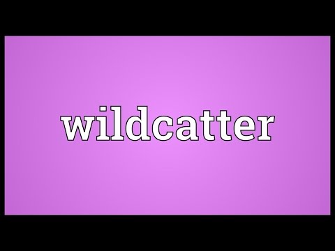 Wildcatter Meaning