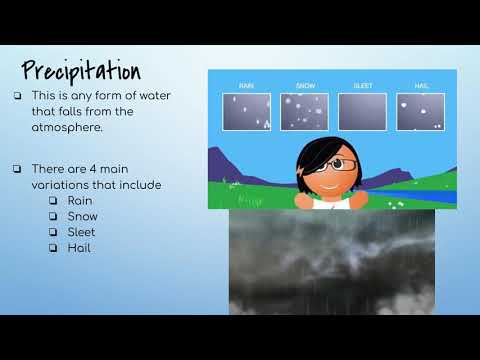 Water Cycle and Precipitation