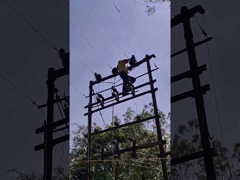 #hpsebl #himachalpradesh #electrical #teamwork #electrician