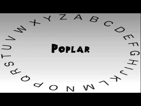 How to Say or Pronounce Poplar