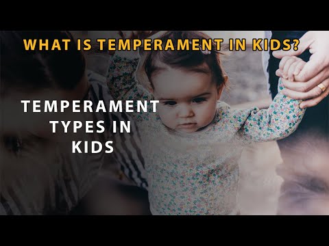 Temperament Types in Kids | What is Temperament in kids?