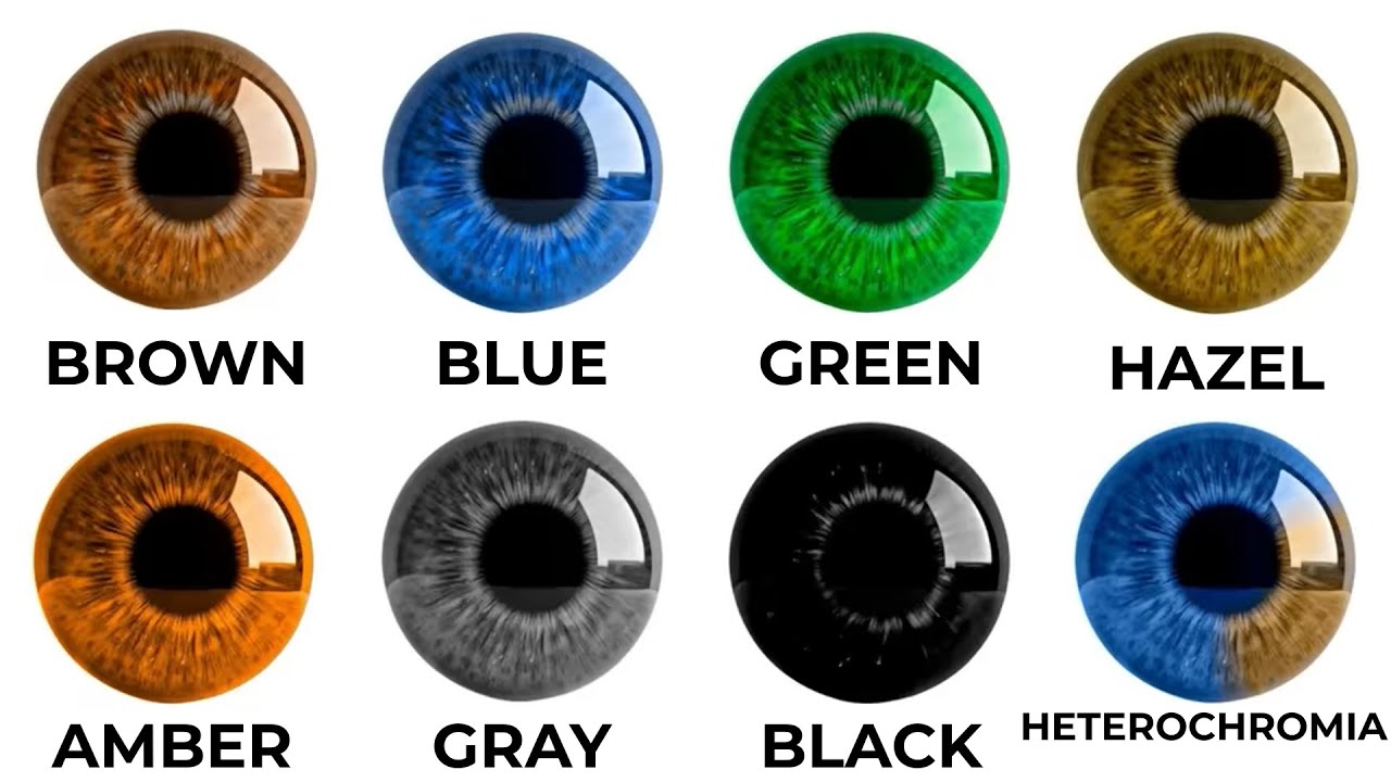 Every Human Eye Color Explained