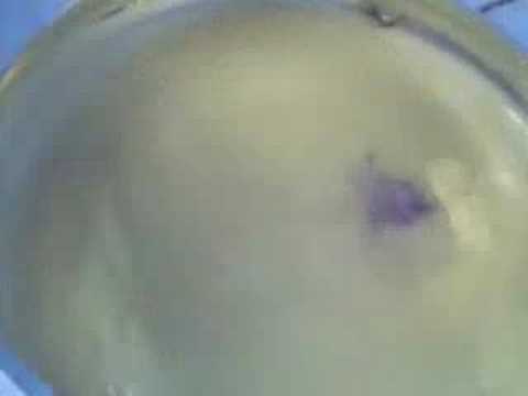 Alkali metals reacting with water