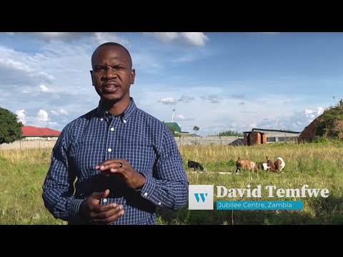 David Temfwe and the Jubilee Centre - Zambia | Seed Packing 2022