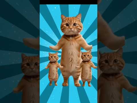 😾Funny Cat Dance 😻 #catlover #pets #cutecat #cat #catdance