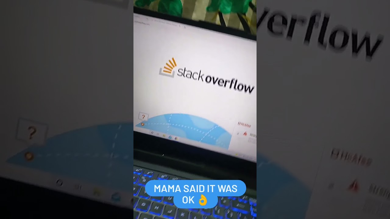 When Coder Copies Code From Stackoverflow
