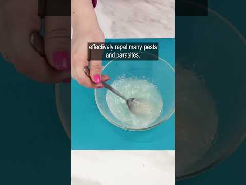 This method for fleas and ticks will protect your dog for pennies