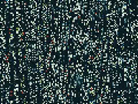 Videocrypt scramble experiment