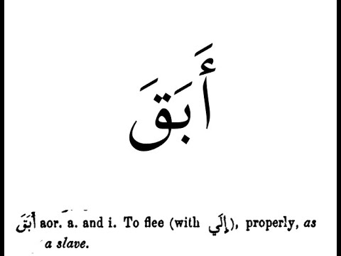 Koranic Word 8: أَبَقَ, to flee.