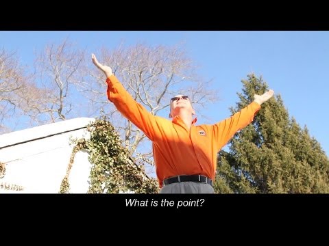 The Dan (What Does The Dan Say) - A Parody of Ylvis's "The Fox" Song