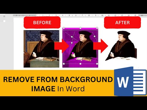How to Remove Background From Picture in Word [2024]
