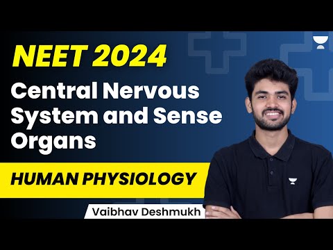Central Nervous System and Sense Organs | Class 11th | Neet 2024/25 | Biology | Vaibhav Deshmukh