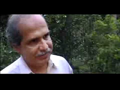 Endosulfan - Distance Between Brain and Heart Part 2