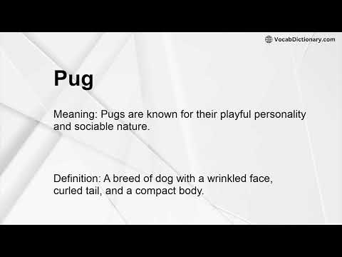 Pug Meaning