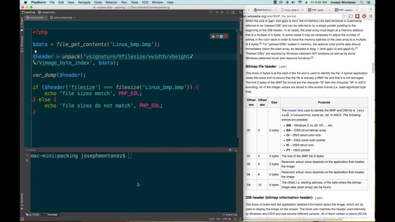 PHP - Reading Binary Data with Unpack