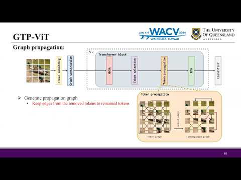 GTP-ViT: Efficient Vision Transformers via Graph-Based Token Propagation