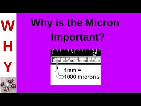 Micron