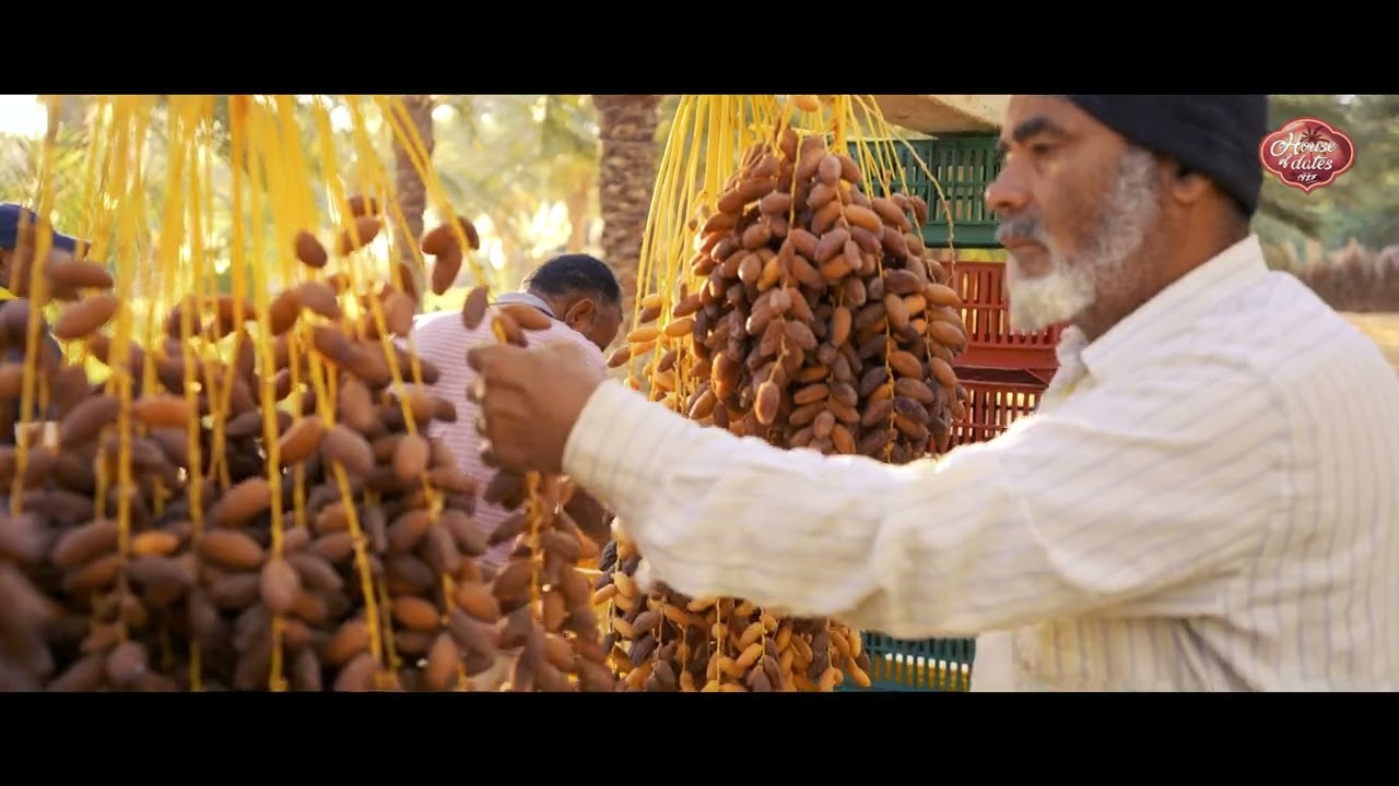 House of dates