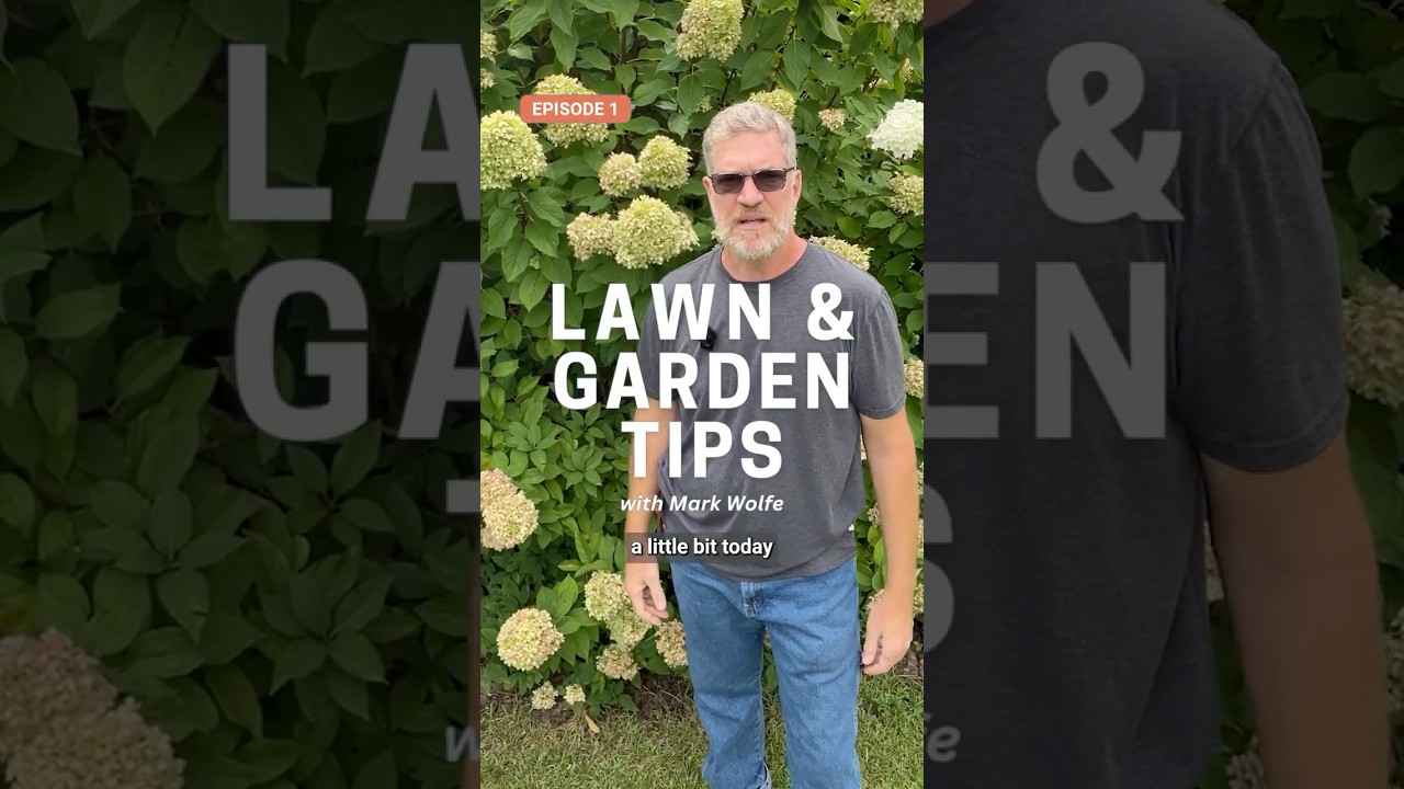 Pro Tip Episode 1: How to Prune Hydrangeas