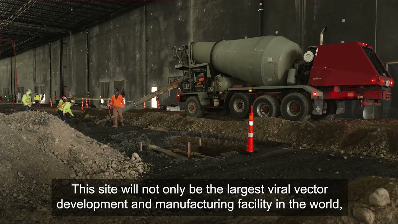 Find Your Purpose in Viral Vector Services