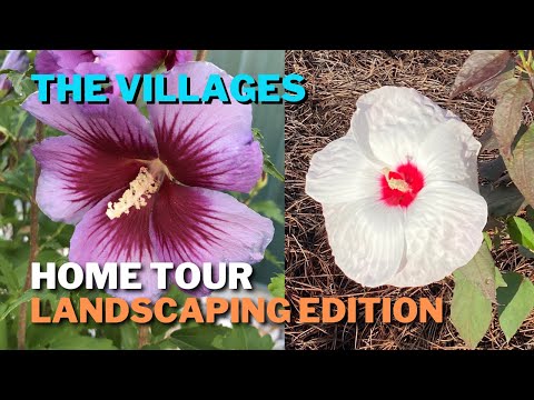 The Villages: Landscaping Our Home