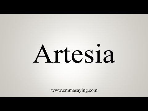 How To Say Artesia