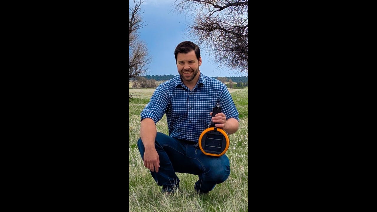 The Virtual Fencing Cowboy