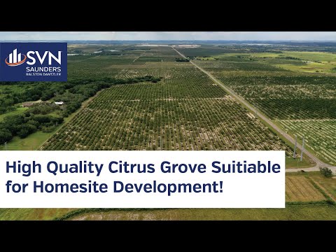 Rocker Farms 80 Foot Road | 77 ± AC | Citrus Grove | Investment | FOR SALE in Bartow, FL