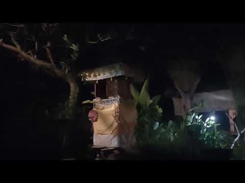 Hotel Suly | Suly garden Villa #ubud #ubudbali #ubudlife #ubudvilla