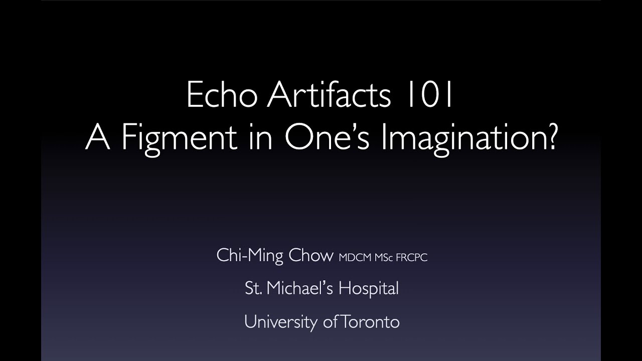 Echo Artifacts 101 - A Figment in One's Imagination?