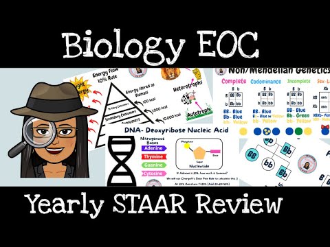 Biology EOC Review- 9th Grade STAAR Test @TeachingBiologyisFun /TEACHING BIOLOGY IS FUN