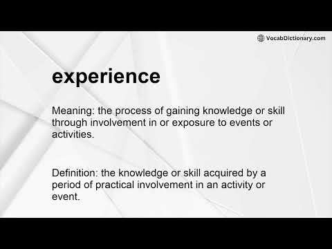 experience Meaning