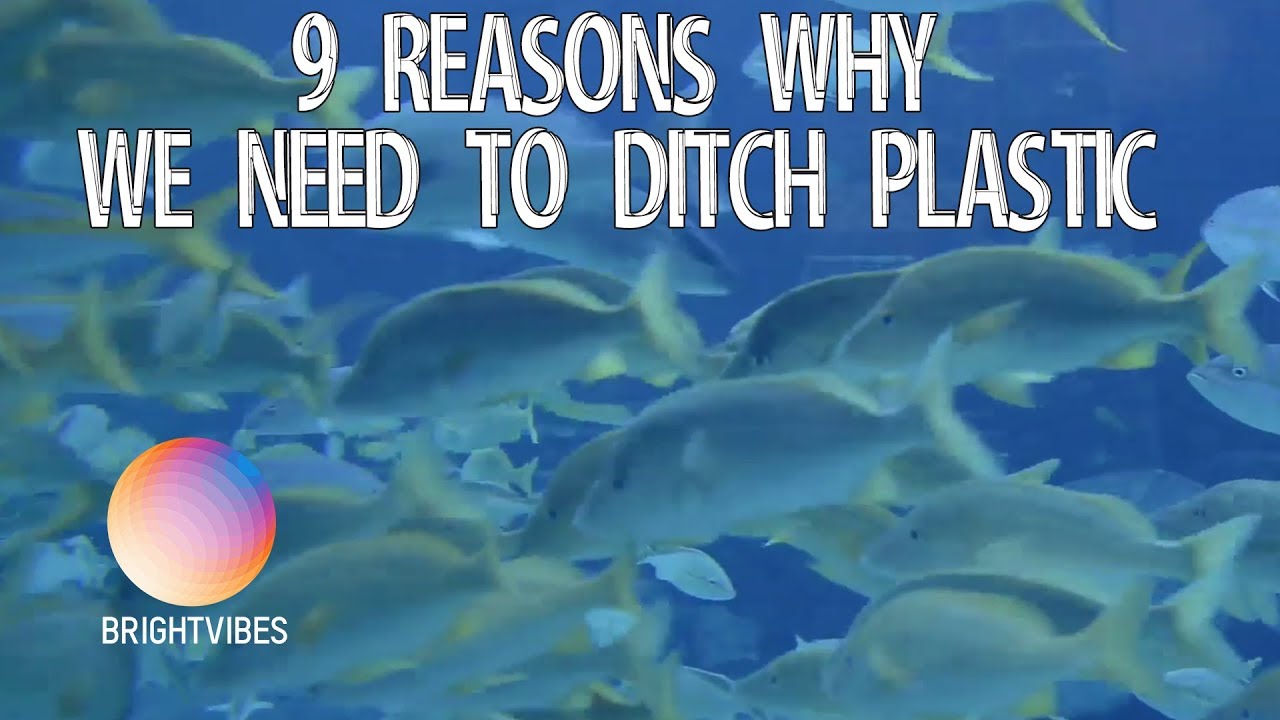 Here are 9 reasons why we need to ditch plastic