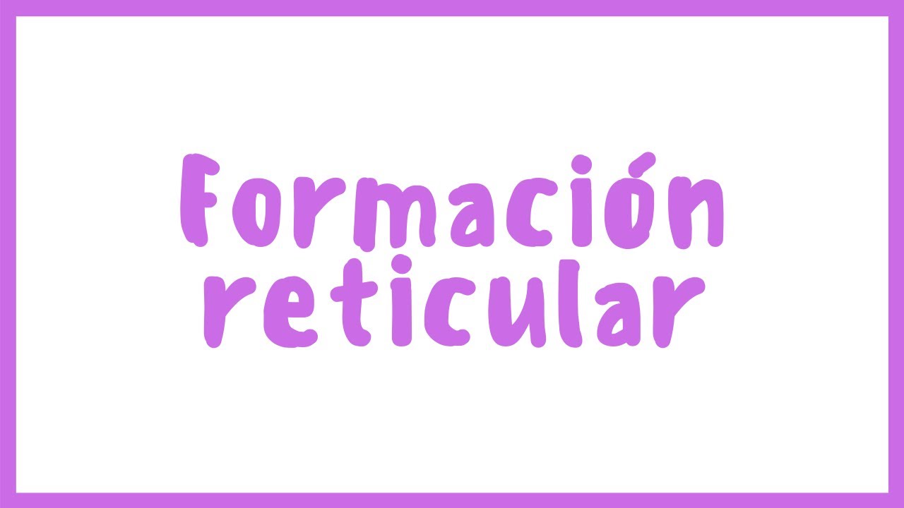 NEUROANATOMÍA | Formación reticular, tallo cerebral | Blasto Med