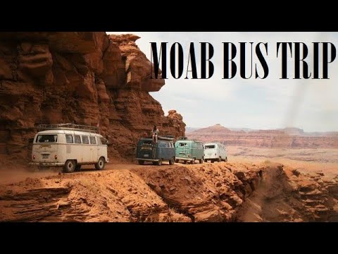 You won't believe where we went with this VINTAGE VW!