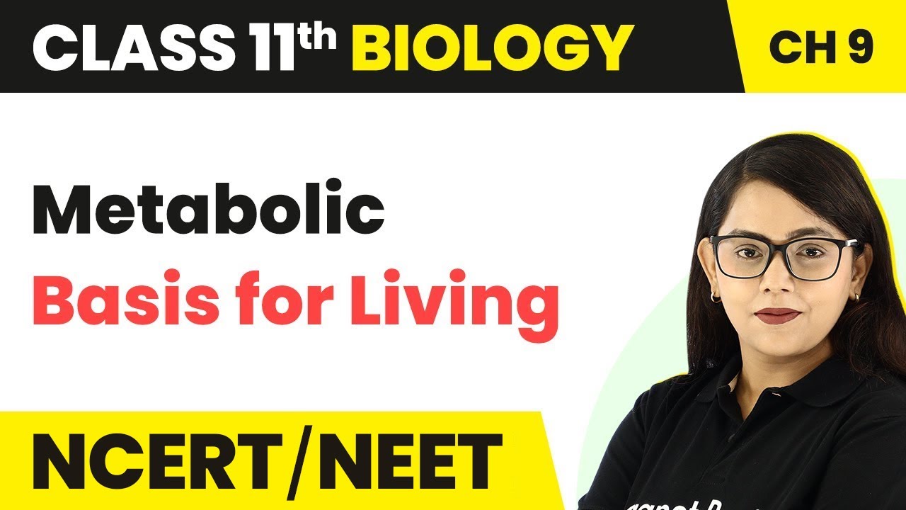 Metabolic Basis for Living - Biomolecules | Class 11 Biology Chapter 9 NCERT/NEET